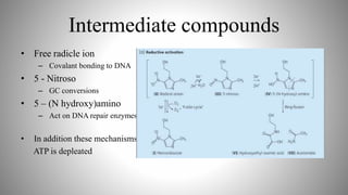 Nitro imidazoles | PPTX