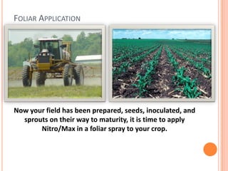 Nitro Max Presentation | PPTX | Gardening | Home & Garden