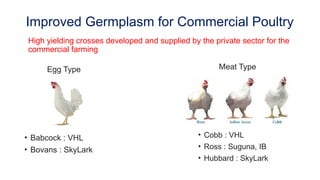 innovation in poultry farming and latest technology | PPTX