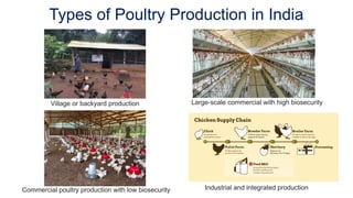 innovation in poultry farming and latest technology | PPTX