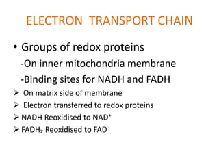 ELECTRON TRANSPORT CHAIN ' ETS ' | PPTX