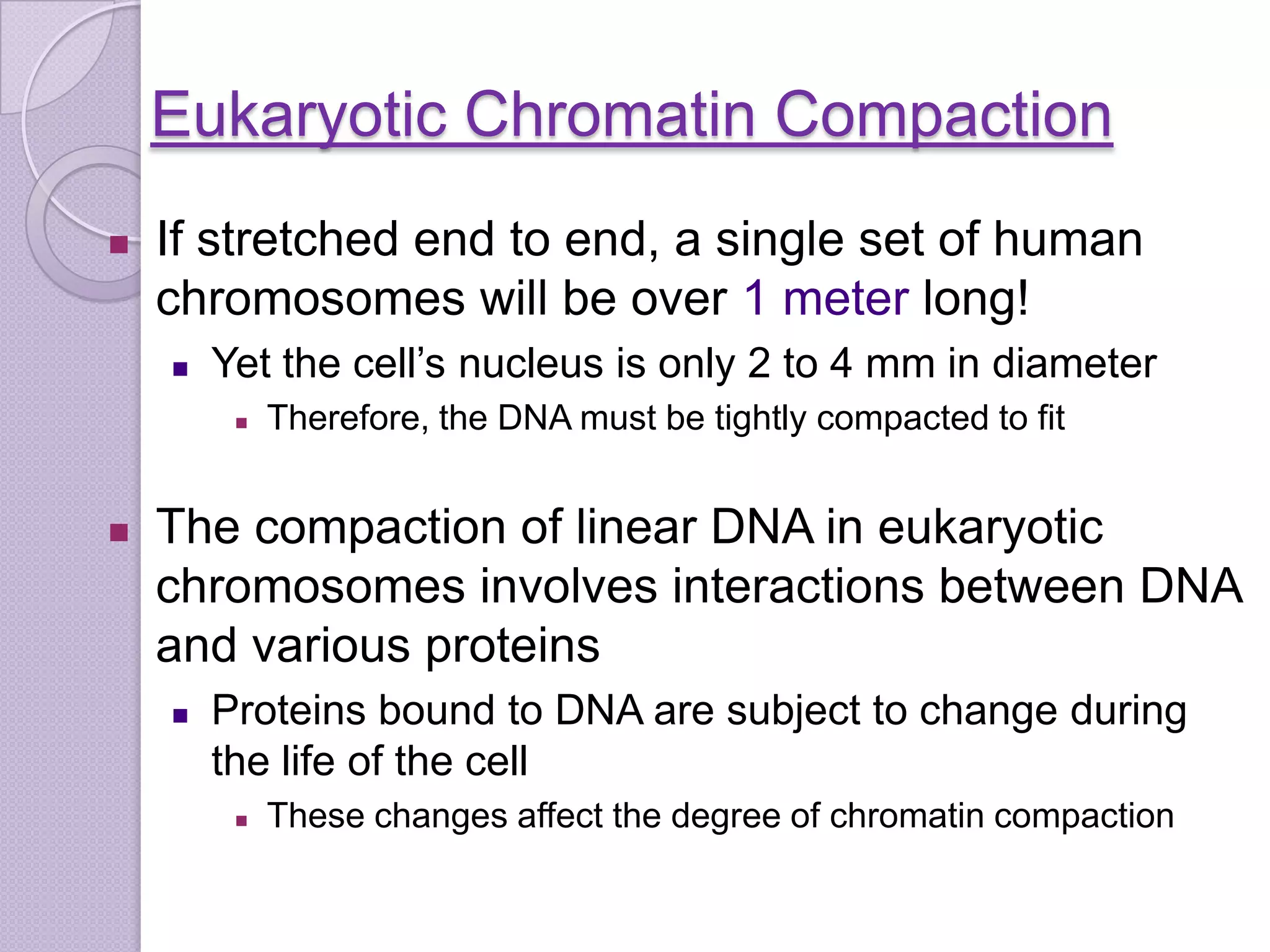 organization of DNA in chromosomes. | PPTX