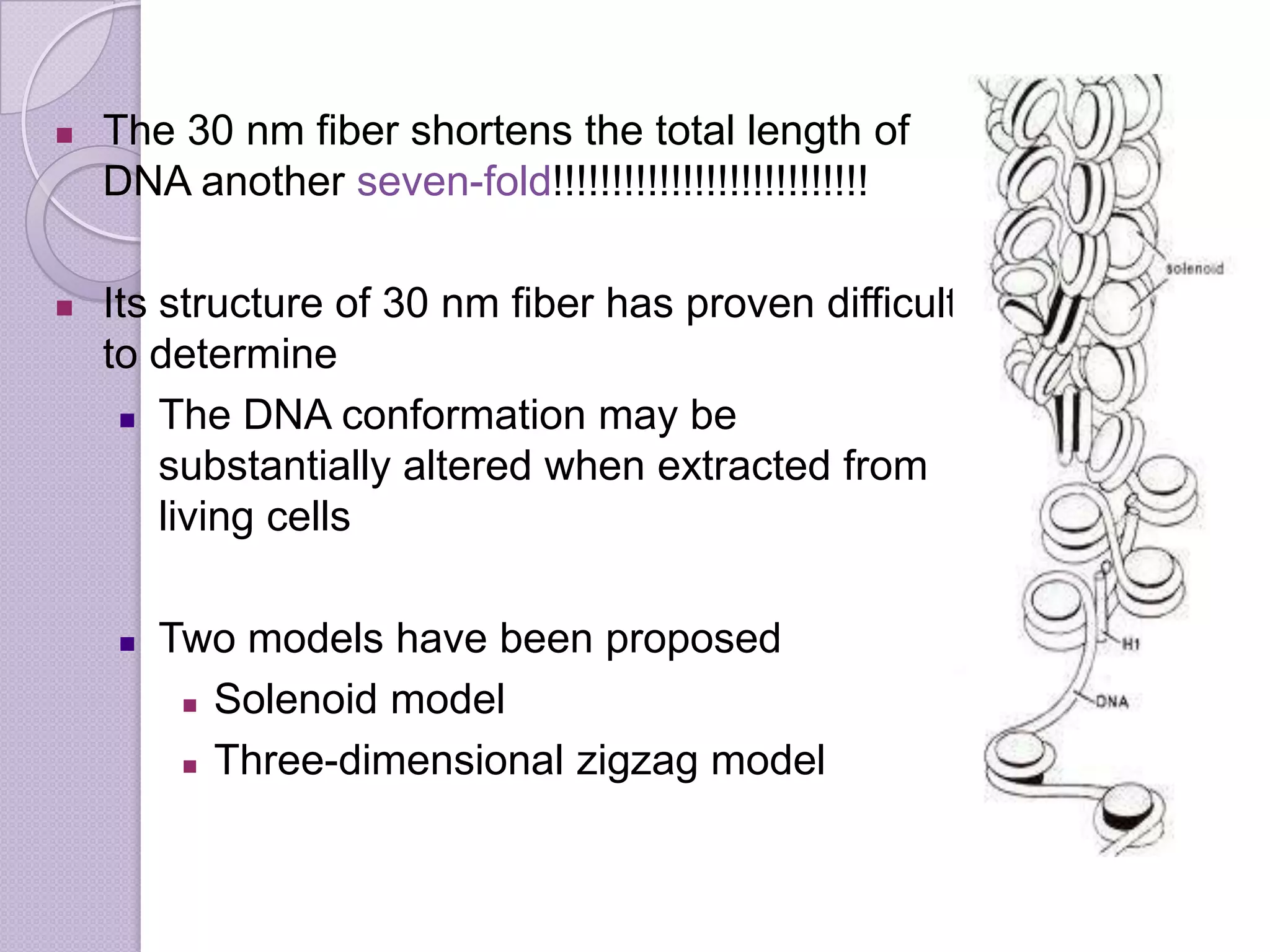 organization of DNA in chromosomes. | PPTX