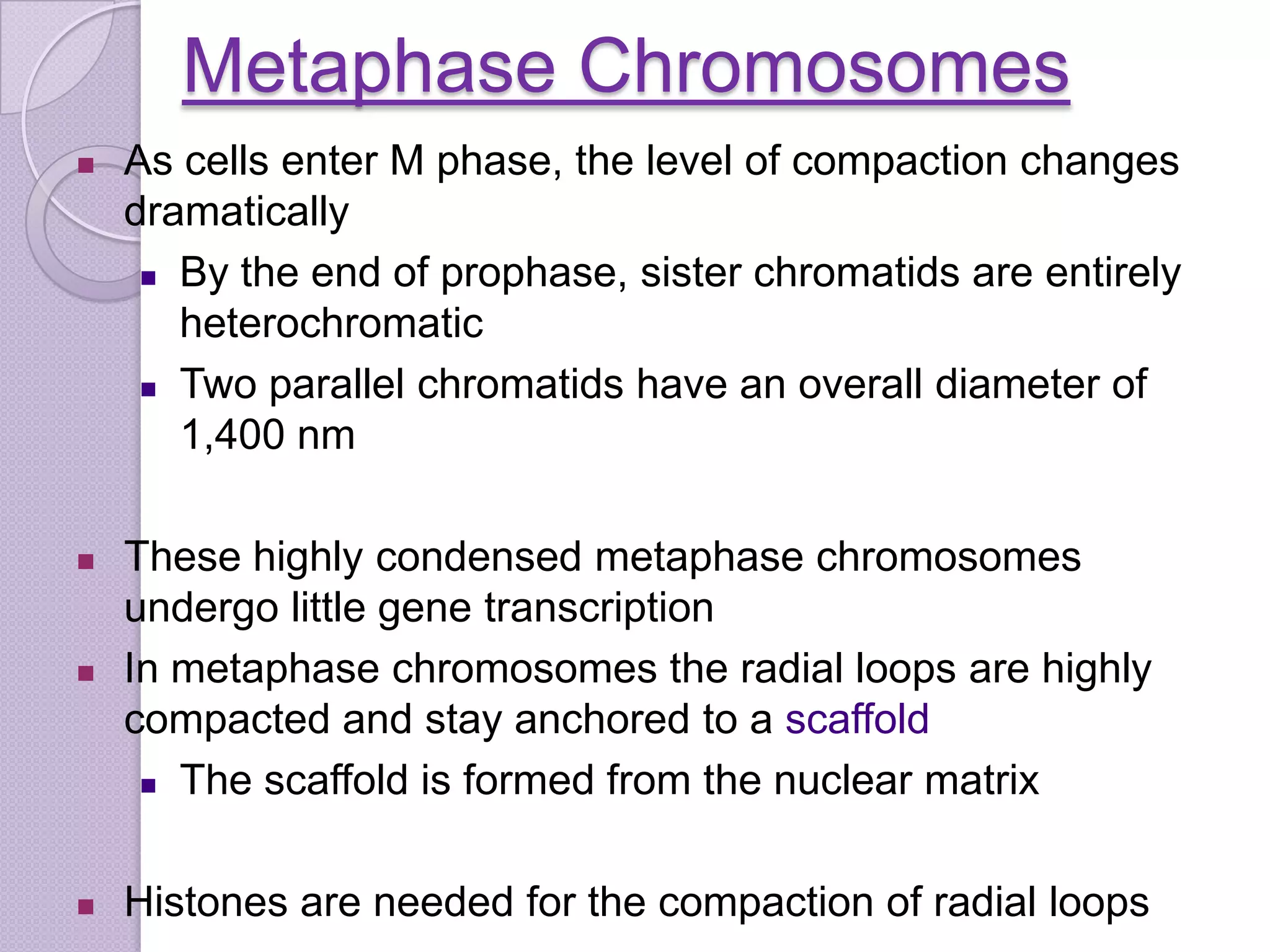 organization of DNA in chromosomes. | PPTX