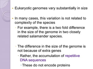 organization of DNA in chromosomes. | PPTX