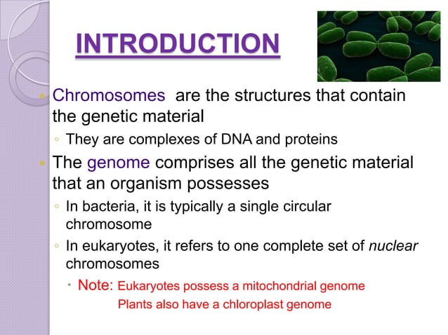 organization of DNA in chromosomes. | PPTX | Biological Sciences | Science
