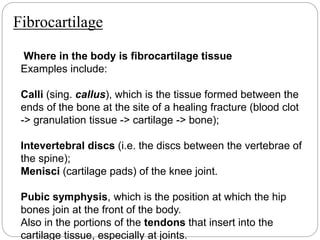 cartilage structure and function | PPTX