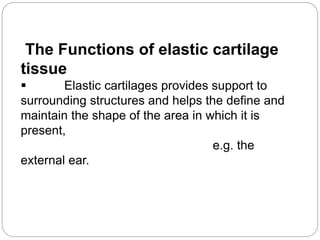 cartilage structure and function | PPTX