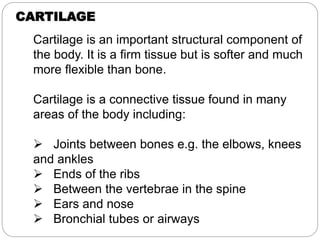 cartilage structure and function | PPTX