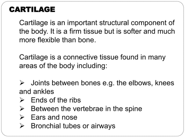 cartilage structure and function | PPTX