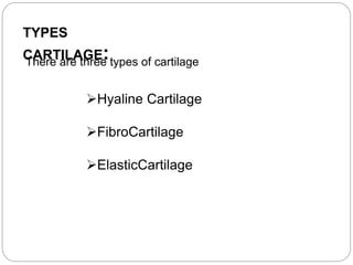 cartilage structure and function | PPTX