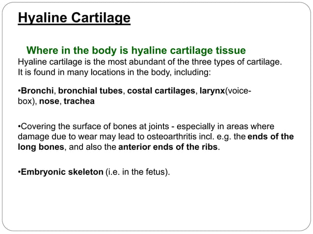 Cartilage Structure And Function Pptx