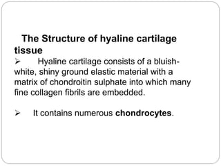 cartilage structure and function | PPTX