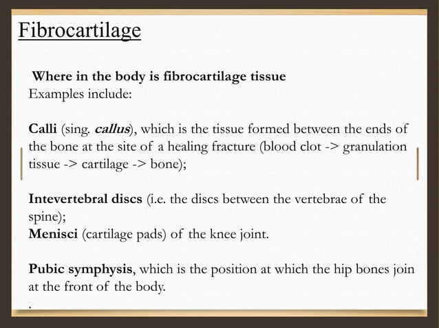 CARTILAGE STRUCTURE AND ITS FUNCTION | PPTX