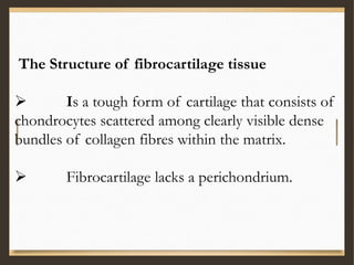 CARTILAGE STRUCTURE AND ITS FUNCTION | PPTX