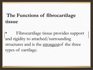 CARTILAGE STRUCTURE AND ITS FUNCTION | PPTX