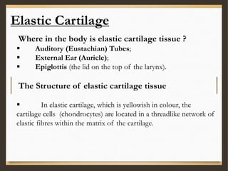CARTILAGE STRUCTURE AND ITS FUNCTION | PPTX