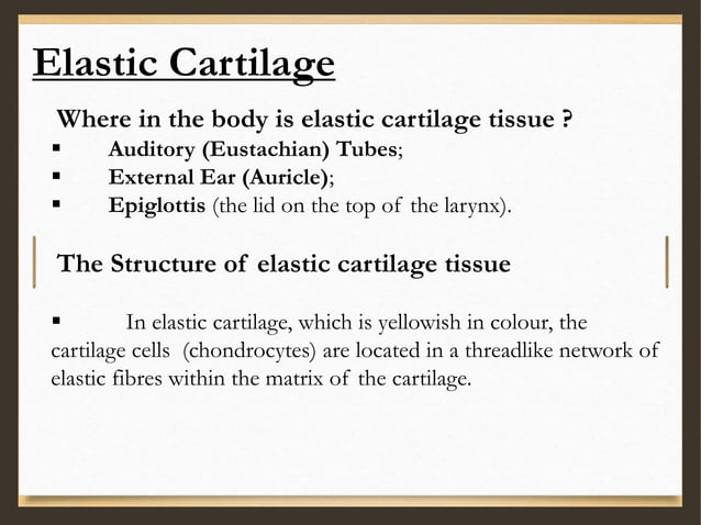 CARTILAGE STRUCTURE AND ITS FUNCTION | PPTX