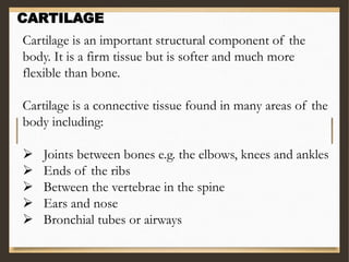 CARTILAGE STRUCTURE AND ITS FUNCTION | PPTX