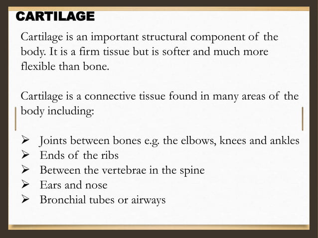 CARTILAGE STRUCTURE AND ITS FUNCTION | PPTX