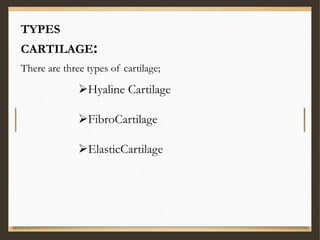CARTILAGE STRUCTURE AND ITS FUNCTION | PPTX