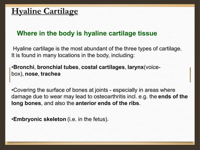 CARTILAGE STRUCTURE AND ITS FUNCTION | PPTX
