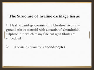CARTILAGE STRUCTURE AND ITS FUNCTION | PPTX