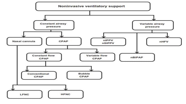 NON INVASIVE VENTILATION IN NEONATES-PART 1 | PPTX | Ear, Nose and ...