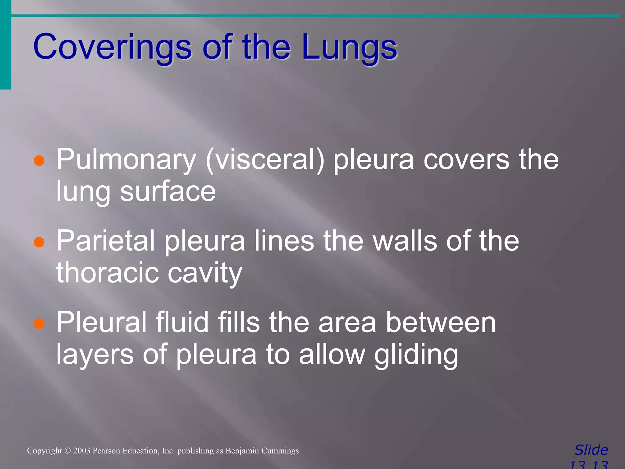 respiratory system anatomy and physiology by Dr.niveditha | PPTX