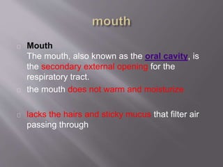 respiratory system anatomy and physiology by Dr.niveditha | PPT