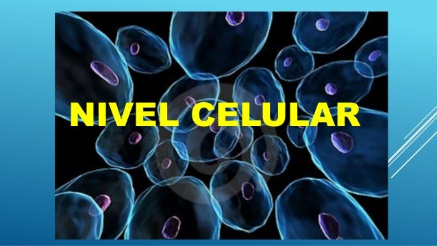 Nivel Celular. Biología Contemporánea