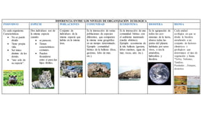 NIVELES DE ORGANIZACIÓN ECOLOGICA | DOCX
