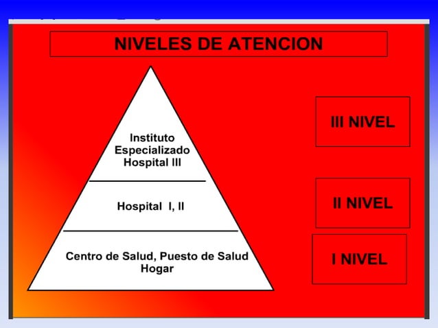 Niveles de atencion 2012 | PPSX