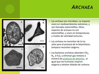 Niveles de organización biológica | PPTX