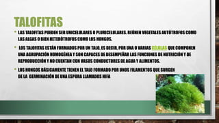 Niveles de organización de las plantas | PPTX