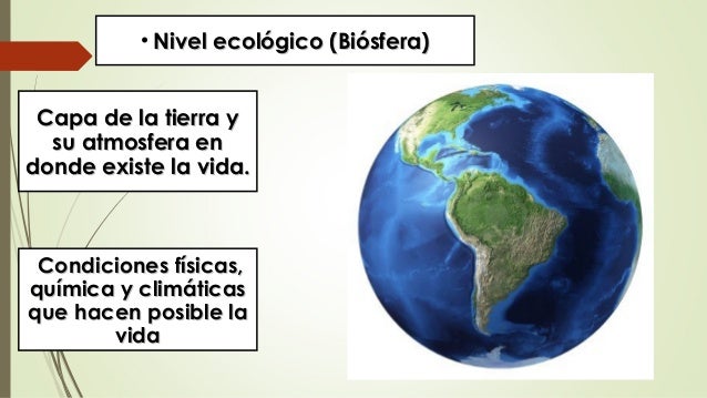 Niveles de organización de biológica