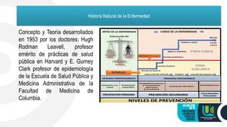 Niveles de prevención, triada epidemiológica HNE | PPTX