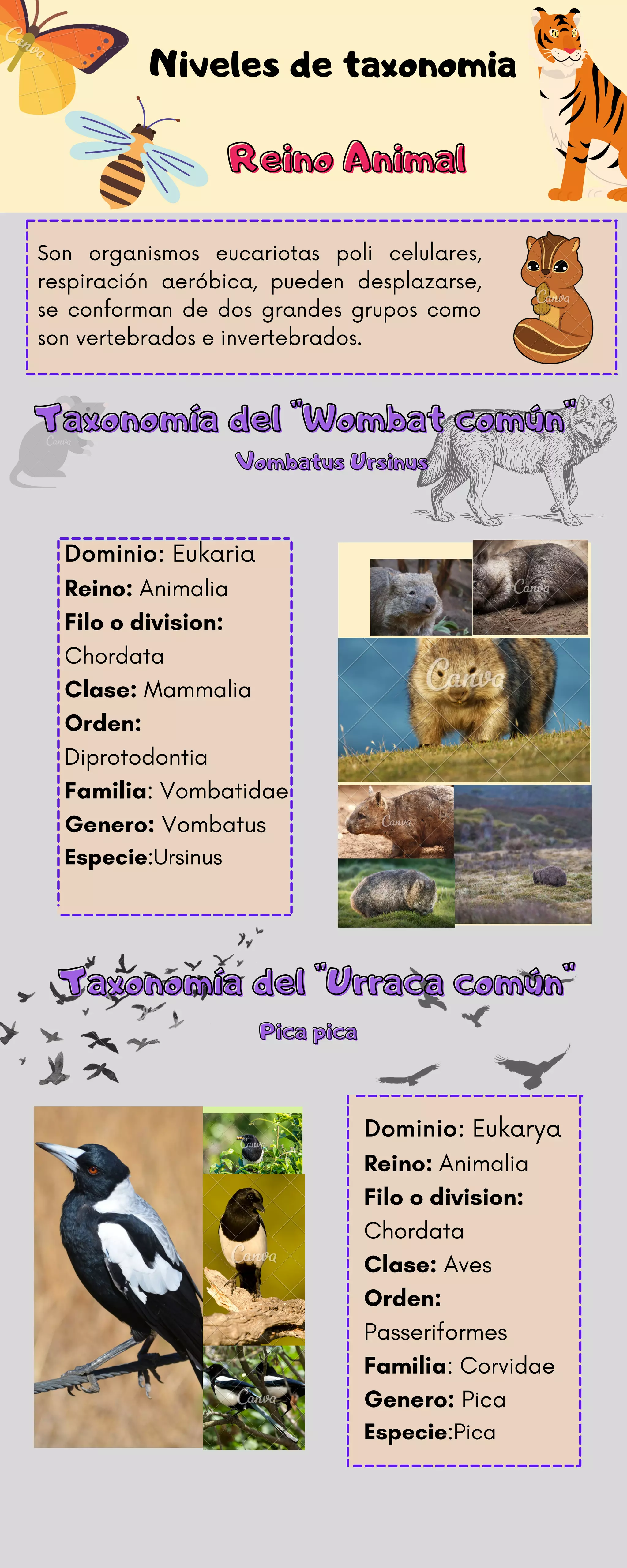 Niveles de taxonomia (1).pdf