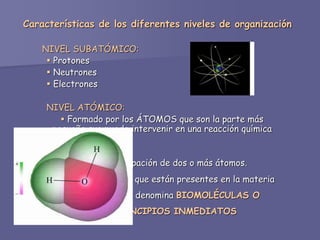 Niveles organizacion de la materia viva (3).ppt
