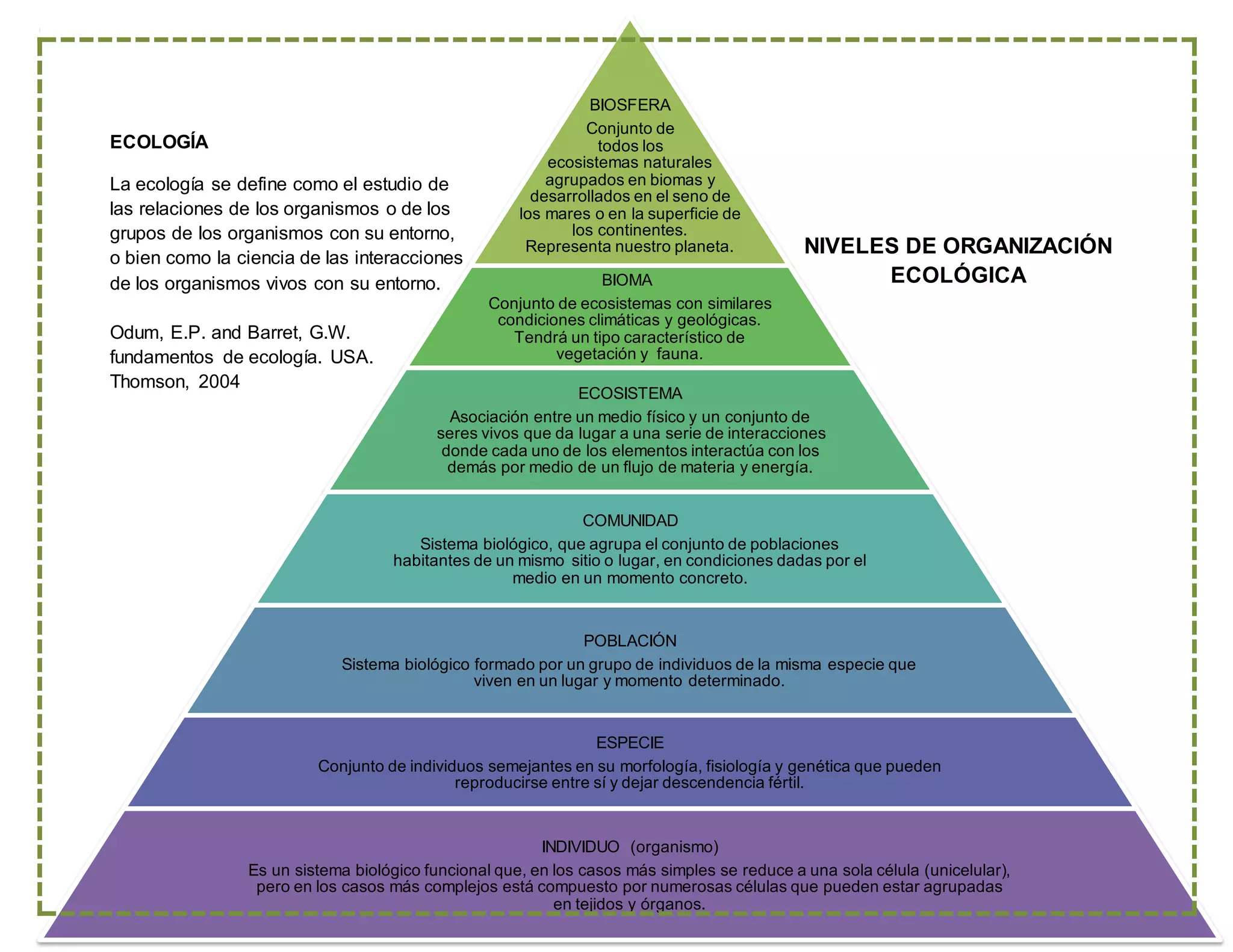 Niveles y factores | PPT