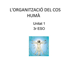 Nivells d'organització del cos humà | ODP