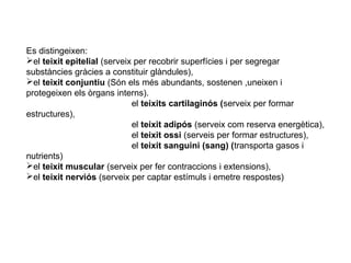 Nivells d'organització del cos humà | ODP