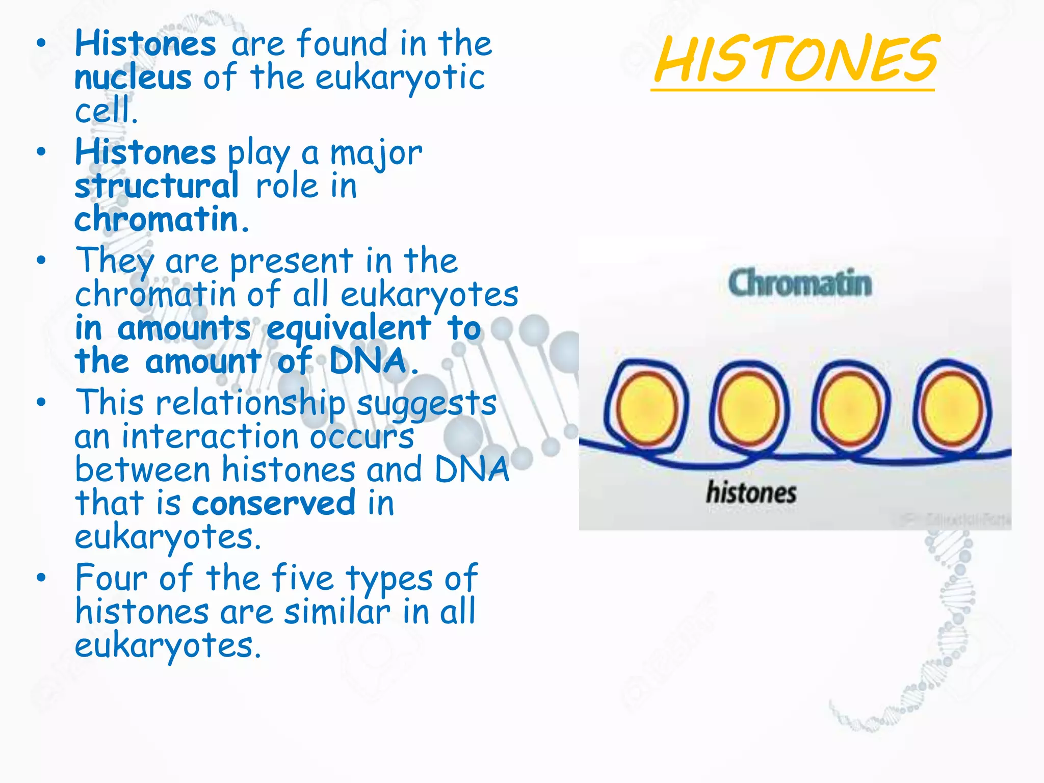 DNA organization in Eukaryotic cells | PPTX
