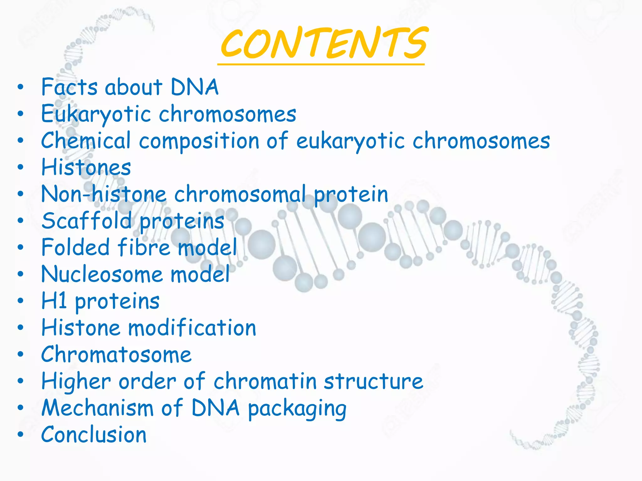 Eukaryotic Chromosome Structure Ppt