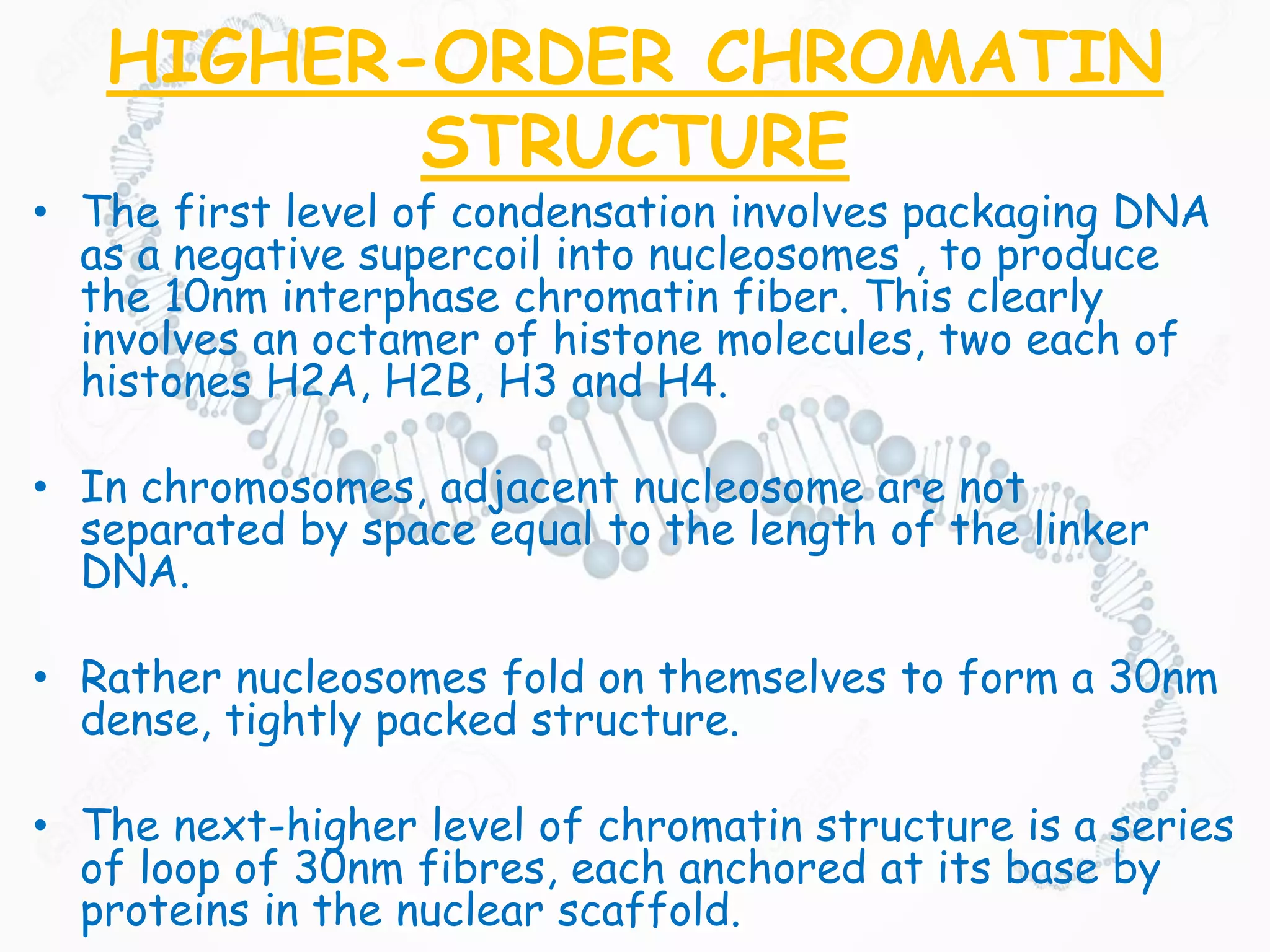 DNA organization in Eukaryotic cells | PPTX