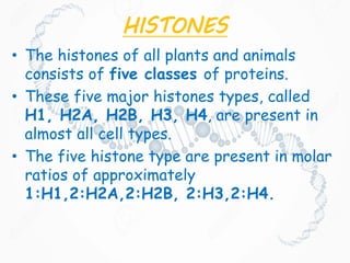 DNA organization in Eukaryotic cells | PPTX