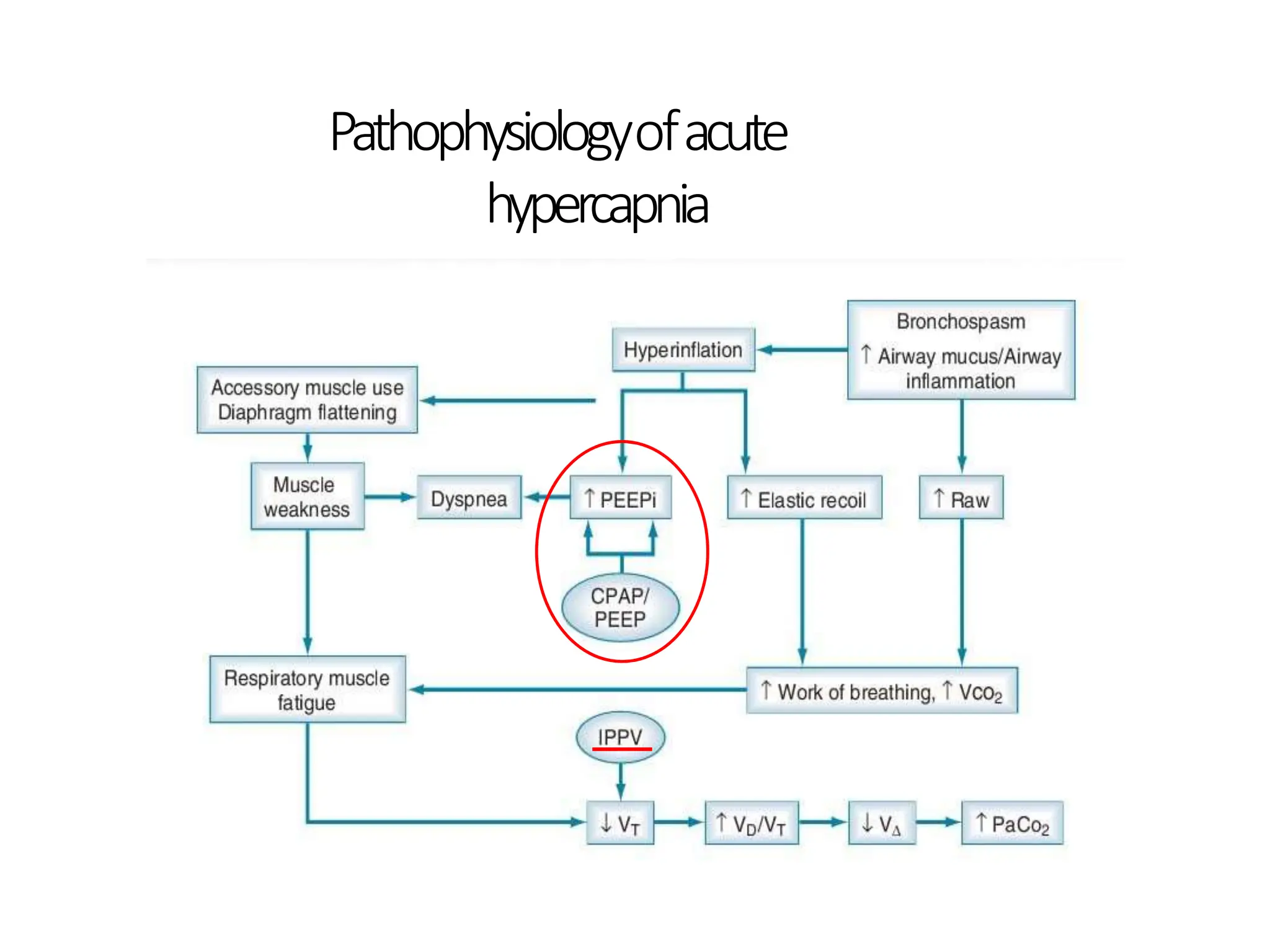 Non invasive ventilation in COPD management.pptx