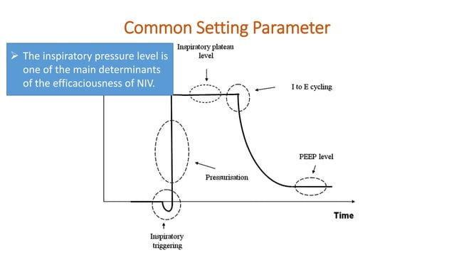 Niv ventilatory modes | PDF