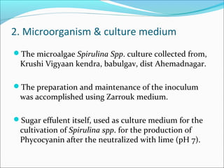 Production of Phycocyanin. and efficient methods for their extraction ...