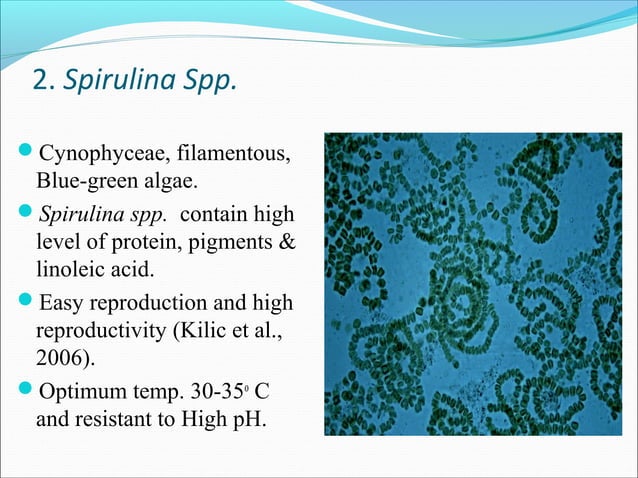 Production of Phycocyanin. and efficient methods for their extraction ...